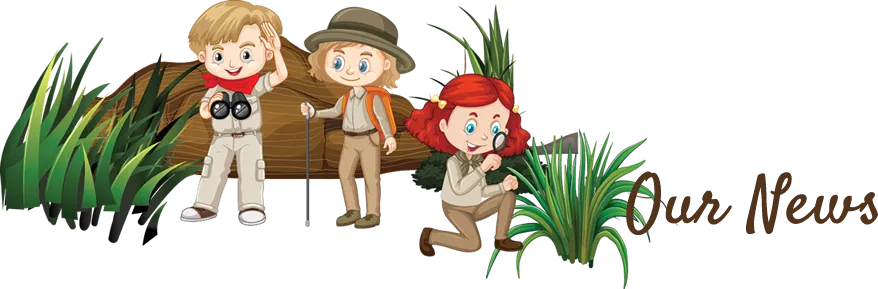 Mr. Bund- 5th/6th Class | Hedgestown