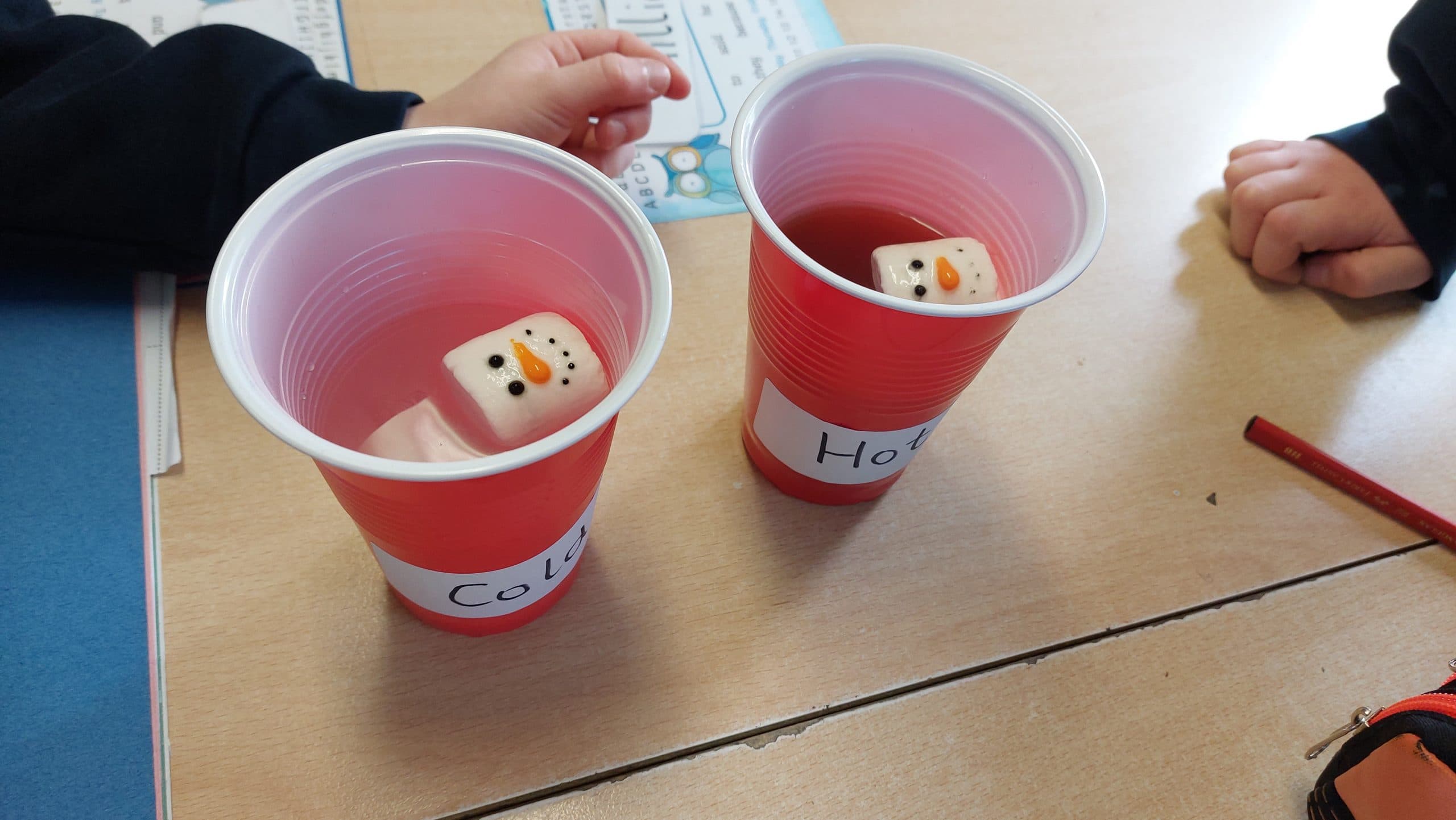 Hot and Cold Science | Hedgestown